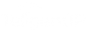 Home - TeligentIP